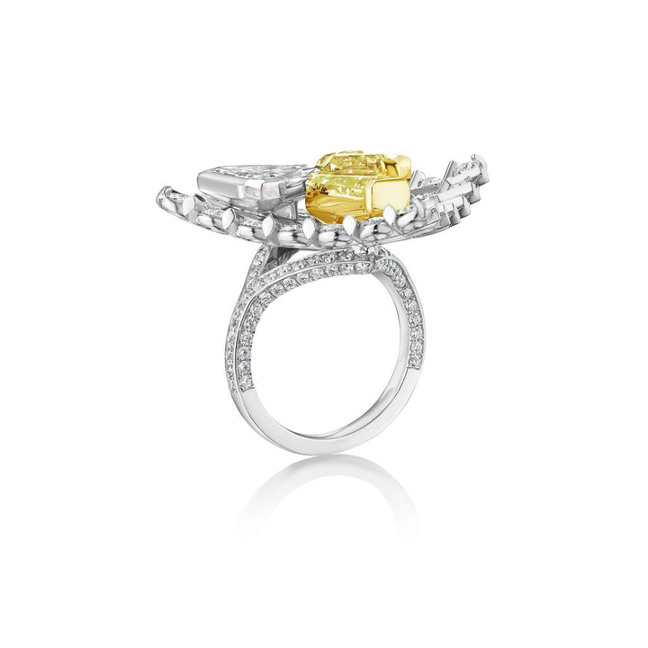 Arazi Diamonds